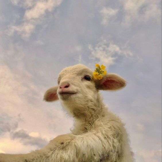 Engineering School Project: Pokedex - Ahmet ALTINEL